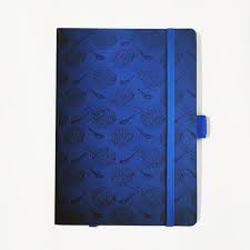 Pinyin Press – Thorn and Burrow