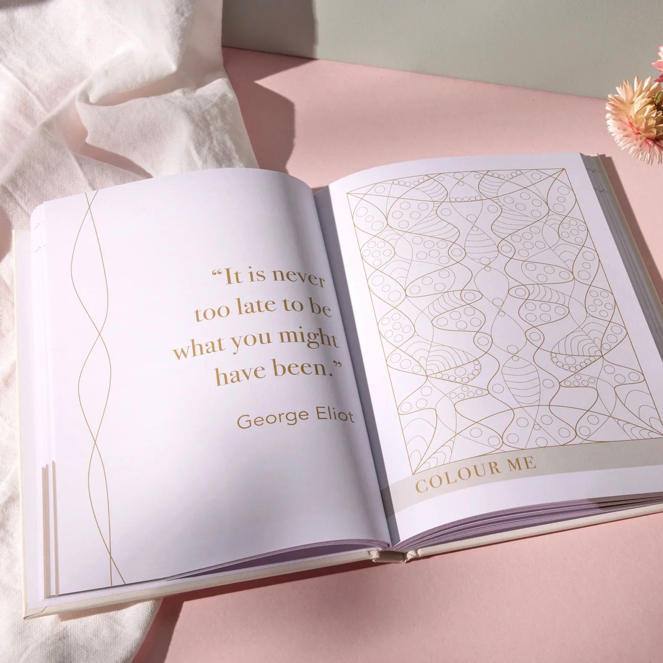 New Arrivals – Thorn and Burrow